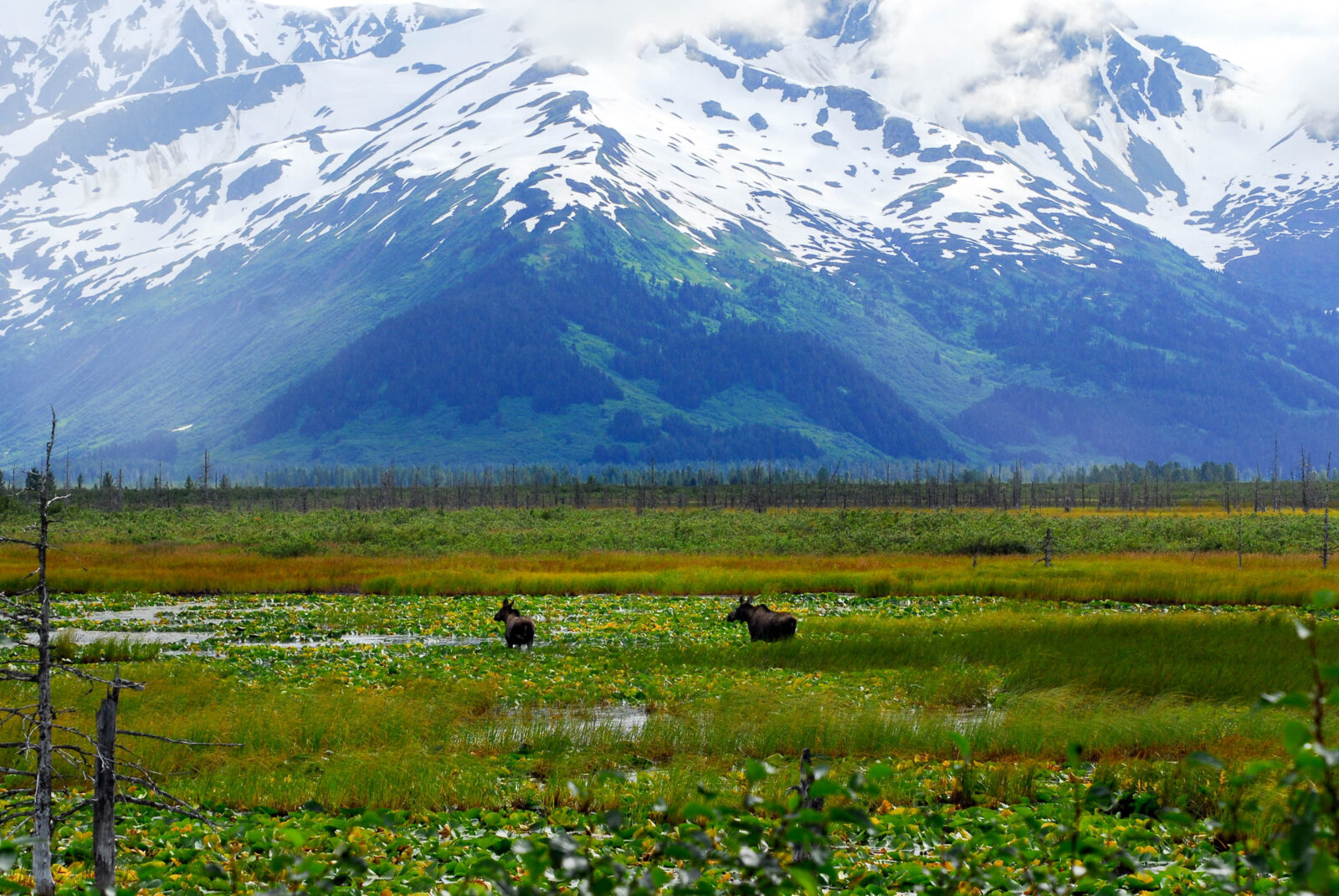 Anchorage Alaska Elopement Guide